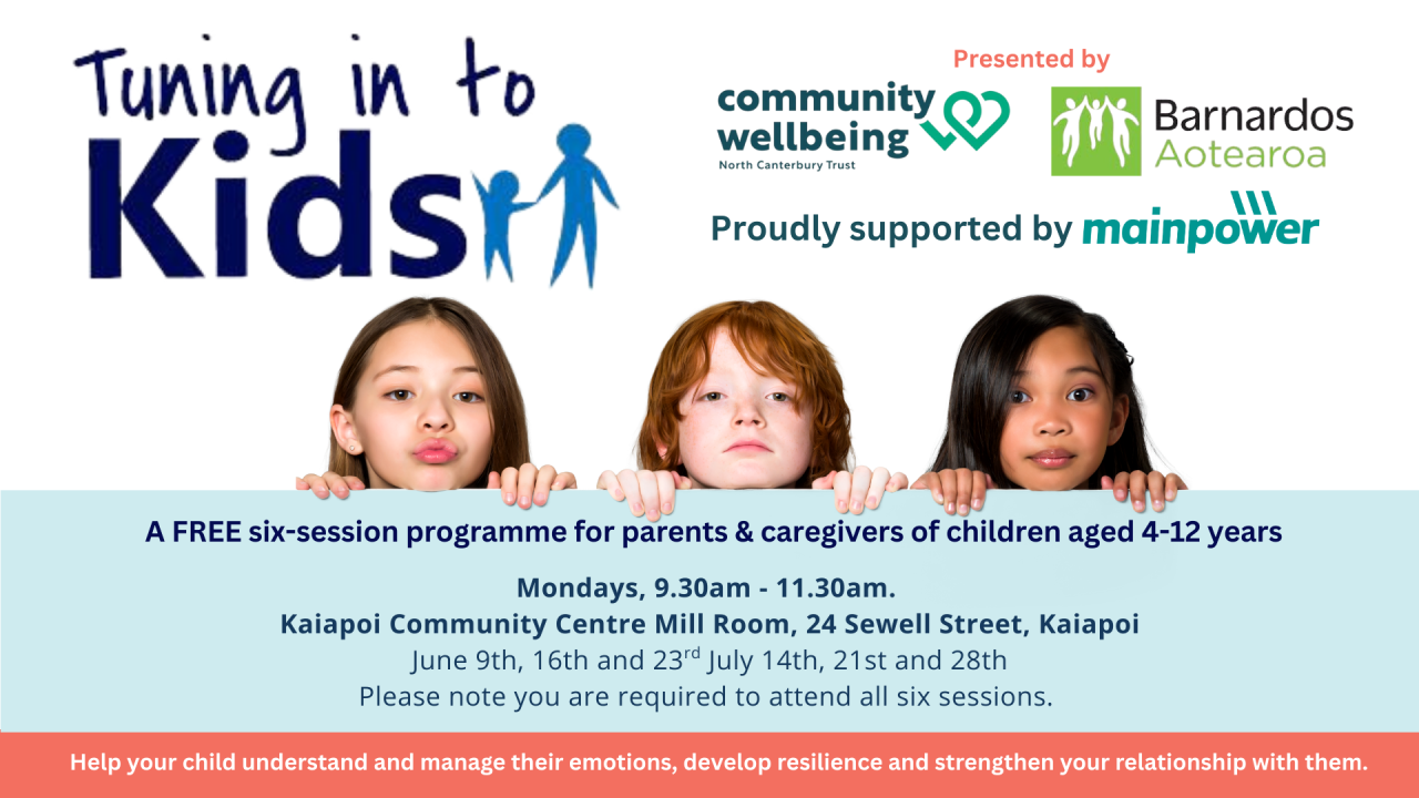 Free Parenting Courses & Support | Community Wellbeing NC